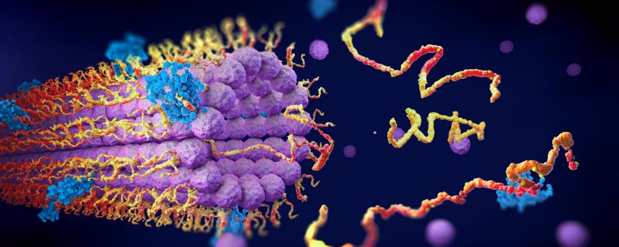 Genómica Funcional: ¿Qué es? Descubre su importancia
